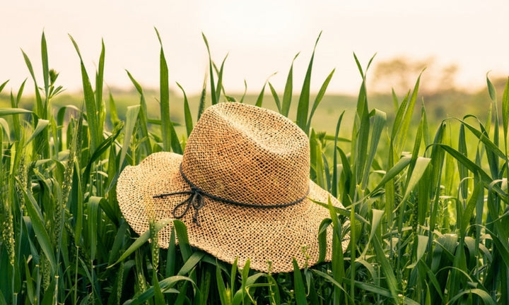 National Straw Hat Day - A Celebration of Summer